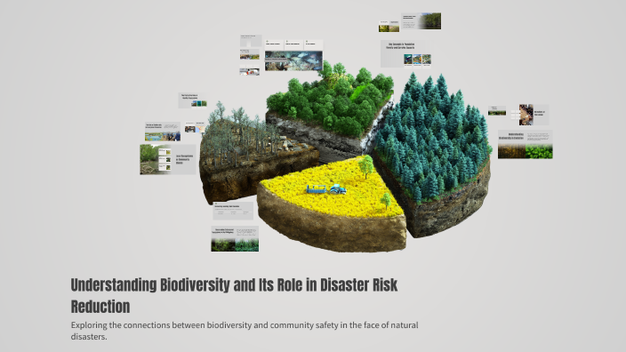 Understanding Biodiversity and Its Role in Disaster Risk Reduction by ...