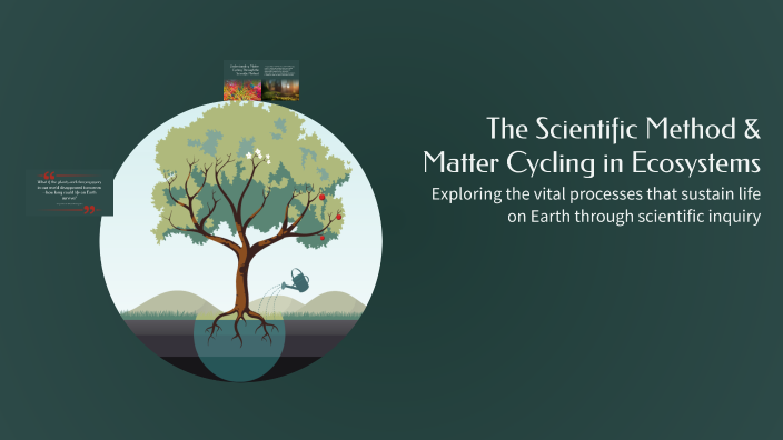The Scientific Method & Matter Cycling in Ecosystems by Shamiko ...