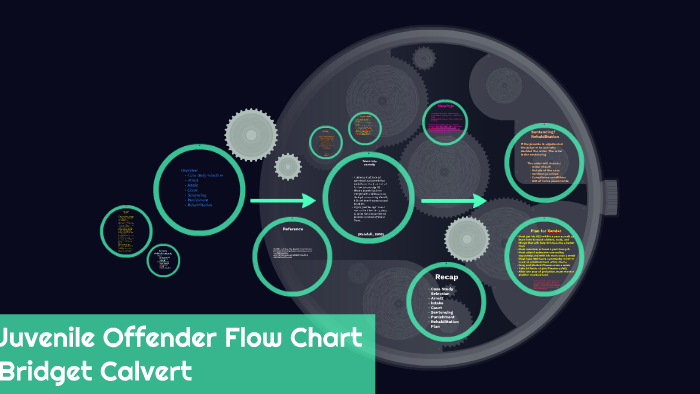 Juvenile Offender Flow Chart by Bridget calvert on Prezi
