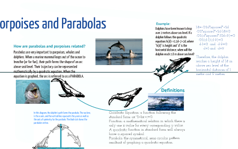 Quadratics Application in Reality - Dolphin Leap by Madeleine Kelly on ...
