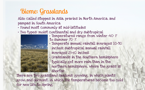 Wildlife Biology Biome Project: Grasslands by Ellie M on Prezi
