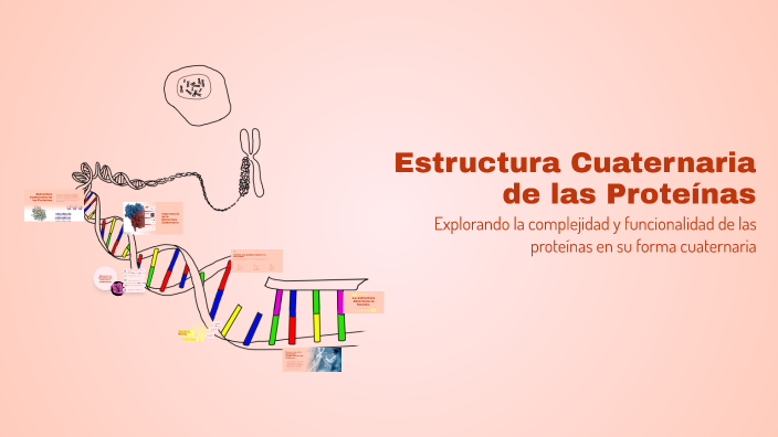Estructura Cuaternaria de las Proteínas by Paloma Lineth on Prezi