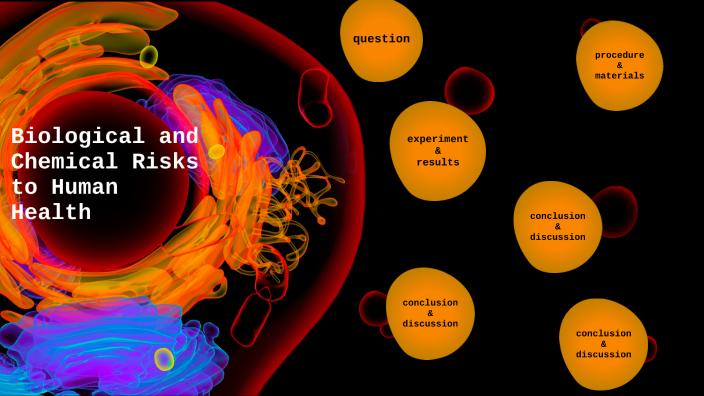 human health risks by Sarah Ung8436