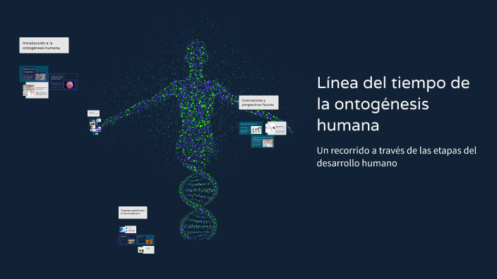 Línea del tiempo de la ontogénesis humana by Evelyn romano on Prezi