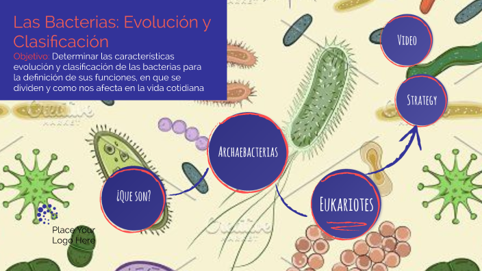 Las Bacterias Evolución y Clasificación by Fernanda Castillo on Prezi