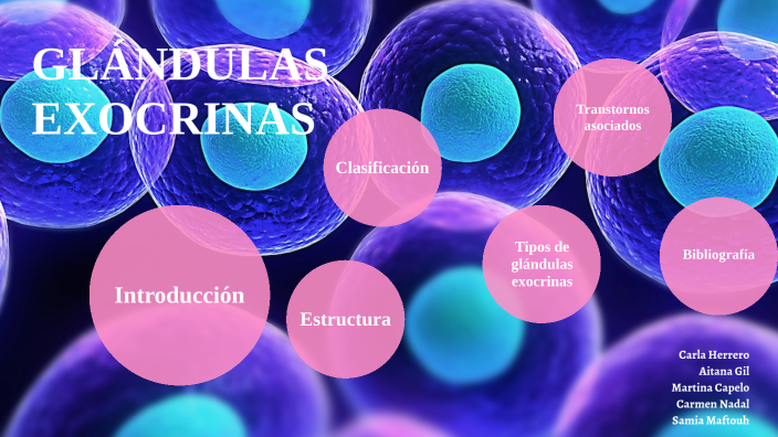 GLÁNDULAS EXOCRINAS by Carmen Nadal Prieto on Prezi