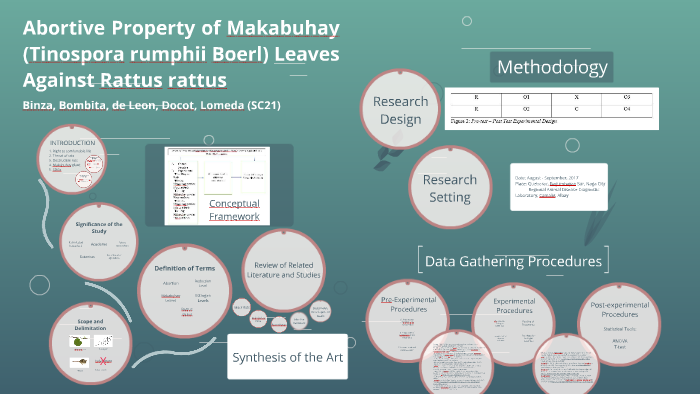 Abortive Property of Makabuhay (Tinospora rumphii Boerl) Lea by Ji ...