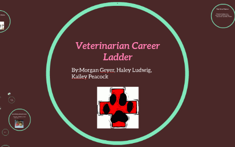 Veterinarian Career Ladder by Haley Ludwig on Prezi