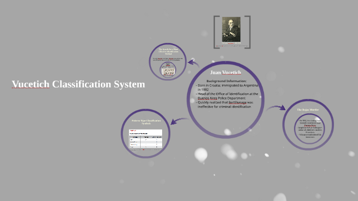 Vucetich Classification System by Stephanie Williams on Prezi