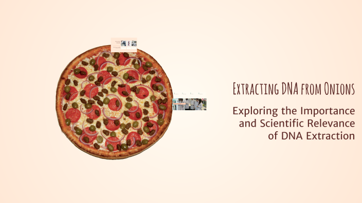 Extracting DNA from Onions by Audrey Briones on Prezi