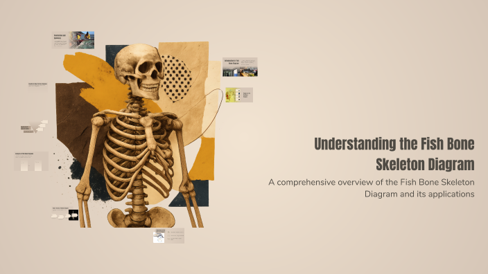 Understanding the Fish Bone Skeleton Diagram by Dana Khalil on Prezi