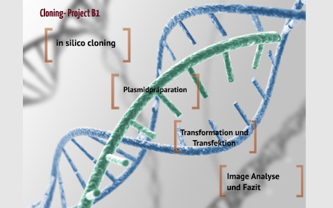 DNA-Cloning by Alisa Jost on Prezi