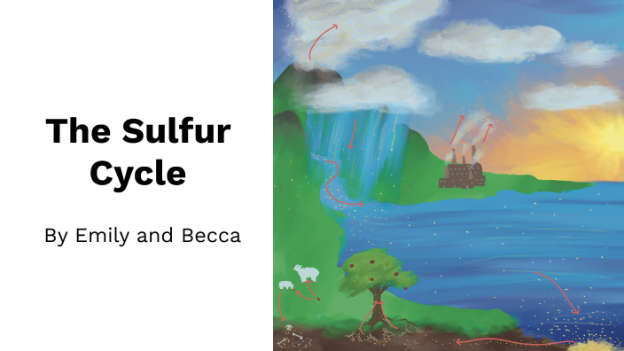 The Sulfur Cycle by Rebecca Hunter on Prezi
