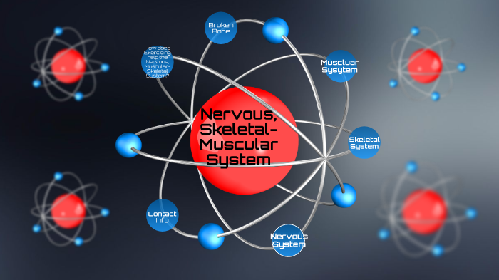 Nervous, Muscular & Skeletal Systems by Jang Won Yoon on Prezi