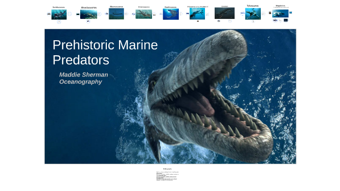 Prehistoric Marine Predators by Maddie Sherman on Prezi