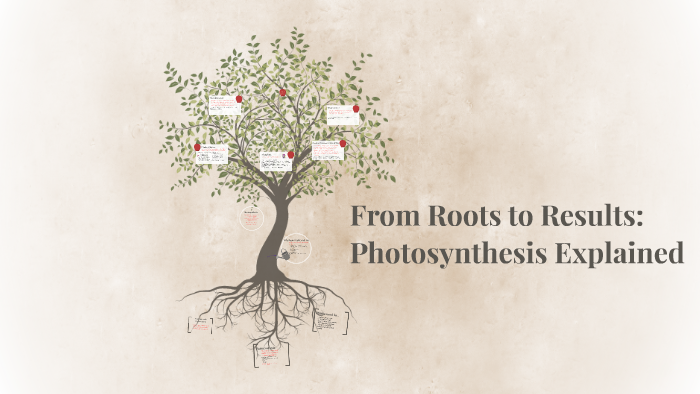From Roots to Results: Photosynthesis Explained by Nick Peckich on Prezi