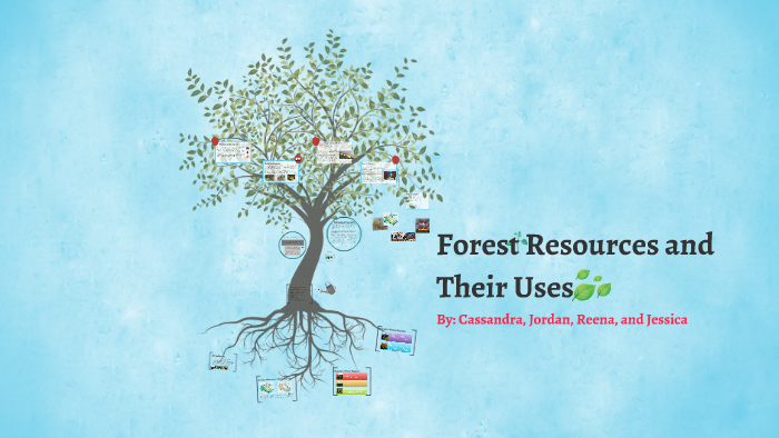 Forest Resources and Their Uses by reeNAH goze on Prezi