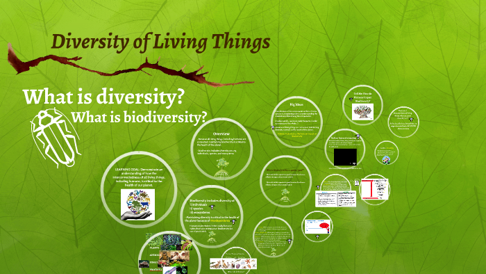 Grade 6: Diversity of Living Things by Maple Baxter on Prezi