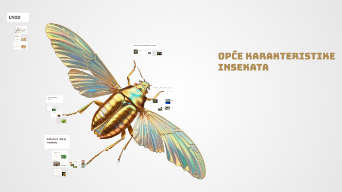 General Characteristics of Insects by SEHOVIC IMAN on Prezi