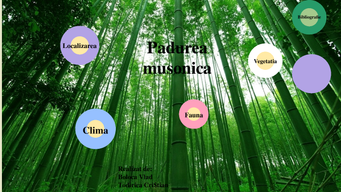 Padurea Musonica by Vlad Boloca on Prezi
