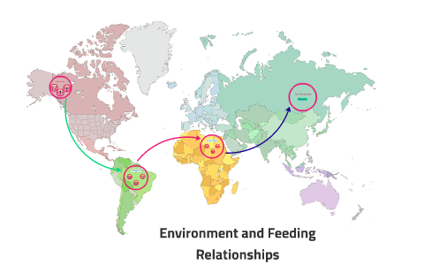 Environment and Feeding Relationships by monina thompson on Prezi