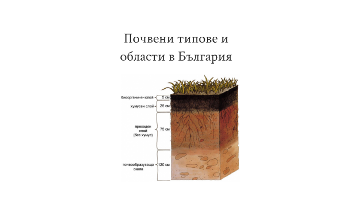 Почвено райониране типове почви у нас By Radoslava Bocheva On Prezi