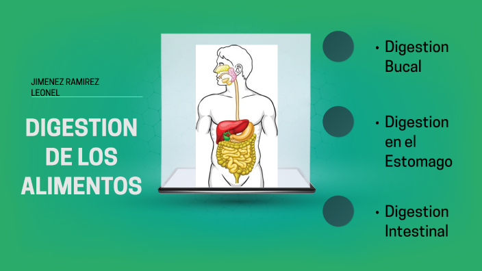 Digestion humana by LEONEL JIMENEZ RAMIREZ on Prezi