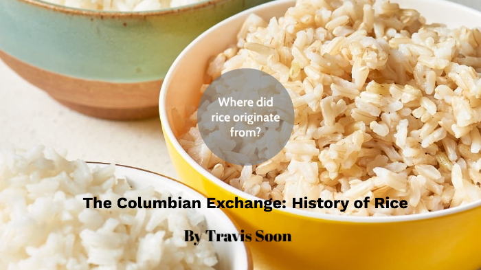 Rice in The Columbian Exchange 1450-1750 by travis soon on Prezi