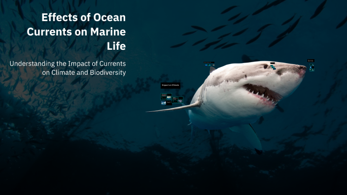 Effects of Ocean Currents on Marine Life by Christopher Campos on Prezi