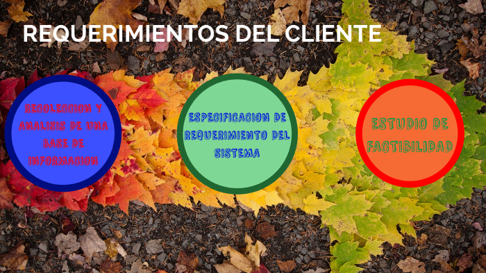 Requerimientos del cliente by Gustavo CJ on Prezi
