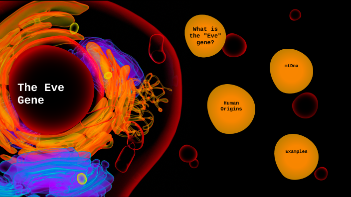 The "Eve" Gene by Brandi Heard on Prezi