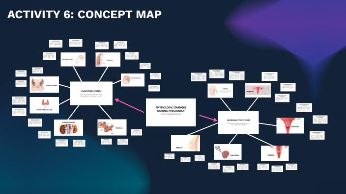 ACTIVITY 6: CONCEPT MAP by tripleseven on Prezi