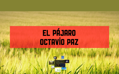 El Pájaro - Octavio Paz by Mike Geraghty on Prezi