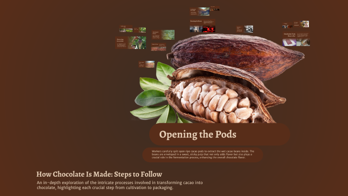 How Chocolate Is Made: Steps to Follow by Samuel Ryals on Prezi