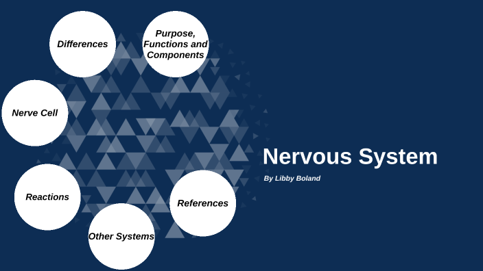 Nervous System by Libby Boland on Prezi