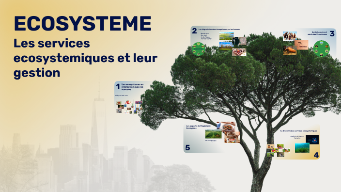 ECOSYSTEME Les services ecosystemiques et leur gestion by Elona Morgado ...