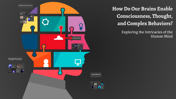 How Do Our Brains Enable Consciousness, Thought, and Complex Behaviors ...