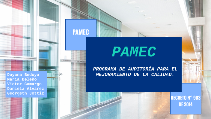 PAMEC-PROGRAMA DE AUDITORIA PARA EL MEJORAMIENTO DE LA CALIDAD by ...