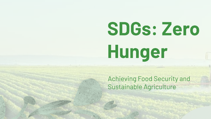 SDGs: Zero Hunger by Talha Seven on Prezi