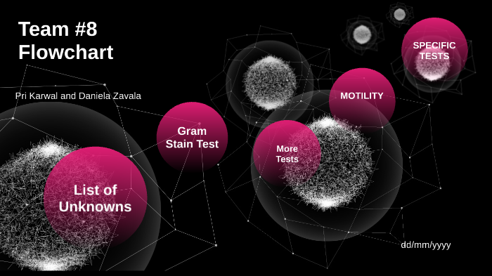Microbiology Lab Flowchart by Daniela Zavala on Prezi