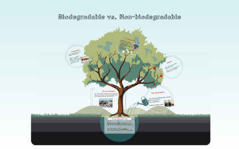 Biodegradable vs. Non-biodegradable by Lauren Raffi on Prezi