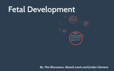 Baby WebQuest by Alanah Lewis on Prezi