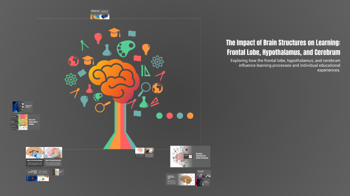 The Impact of Brain Structures on Learning: Frontal Lobe, Hypothalamus ...
