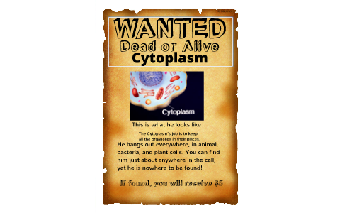 Wanted organelle poster by Molly Deere on Prezi