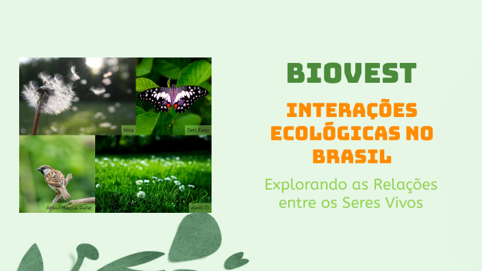 Interações Ecológicas no Brasil by Laís Sotero de Mendonça Bondezan on ...