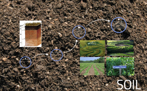 How is soil formed? by Michael Reizenson on Prezi