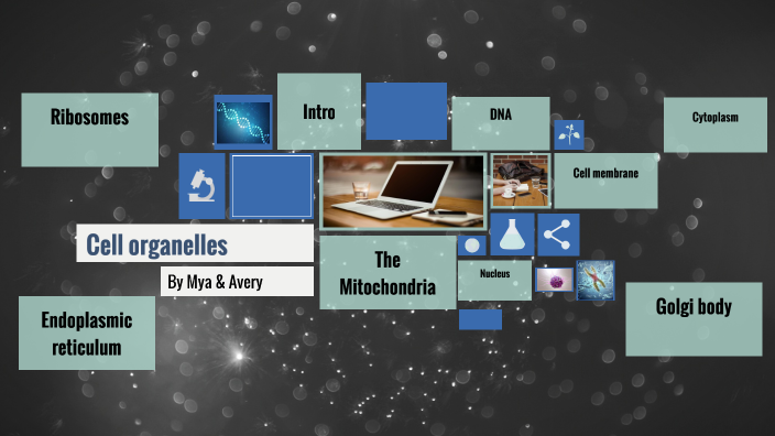 Cell organelle project by Avery Black on Prezi