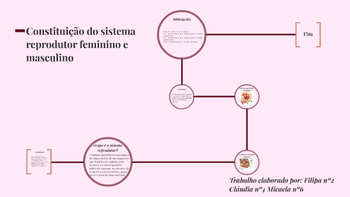 Constituição do sistema reprodutor feminino e masculino by filimica ...