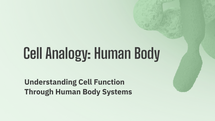 Cell Analogy Human Body By Sahibjot Shangian On Prezi