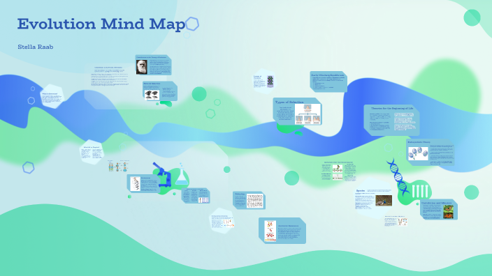 Evolution Mind Map by Stella Raab on Prezi